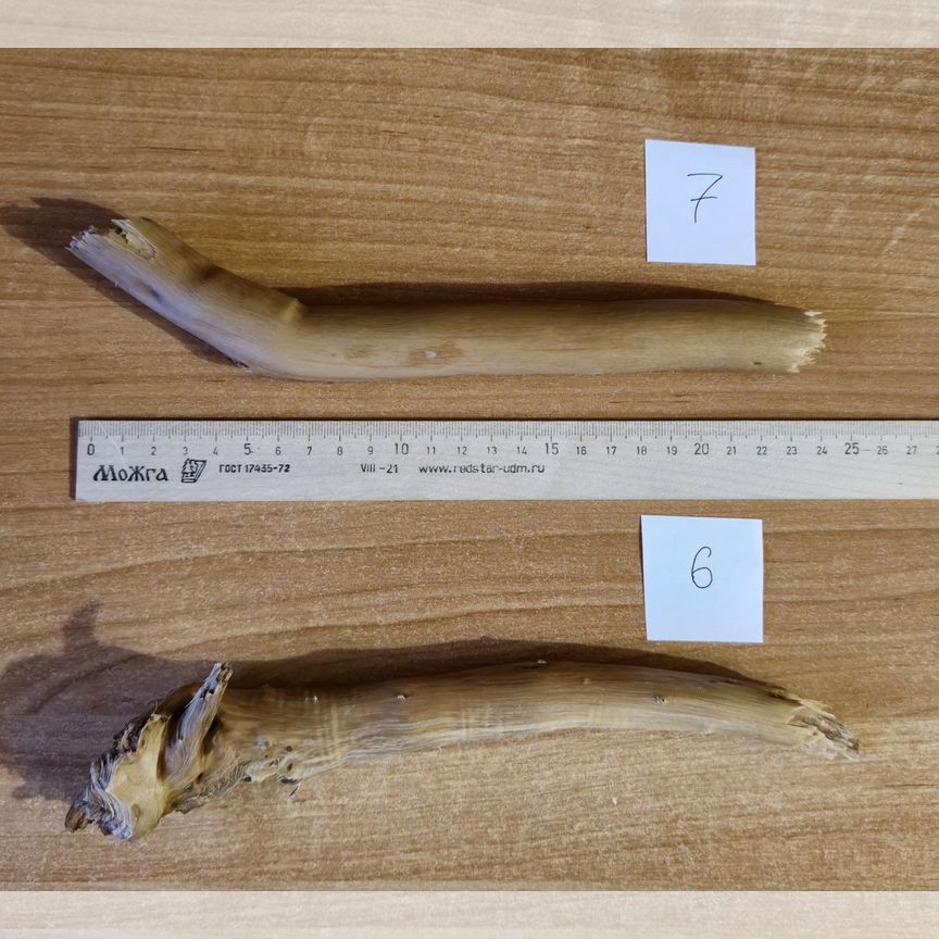 Коряги для аквариума