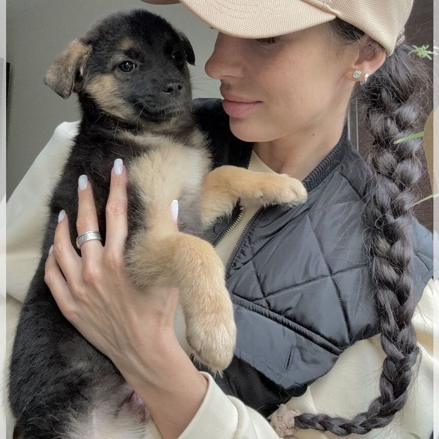 Щенок в добрые руки