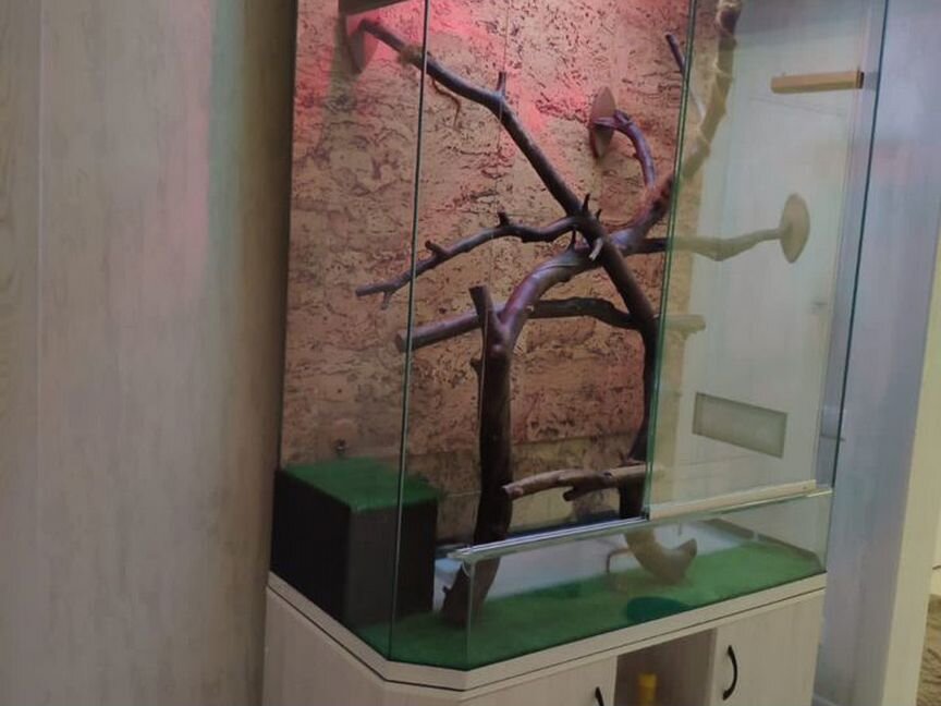 Террариум для рептилий большой