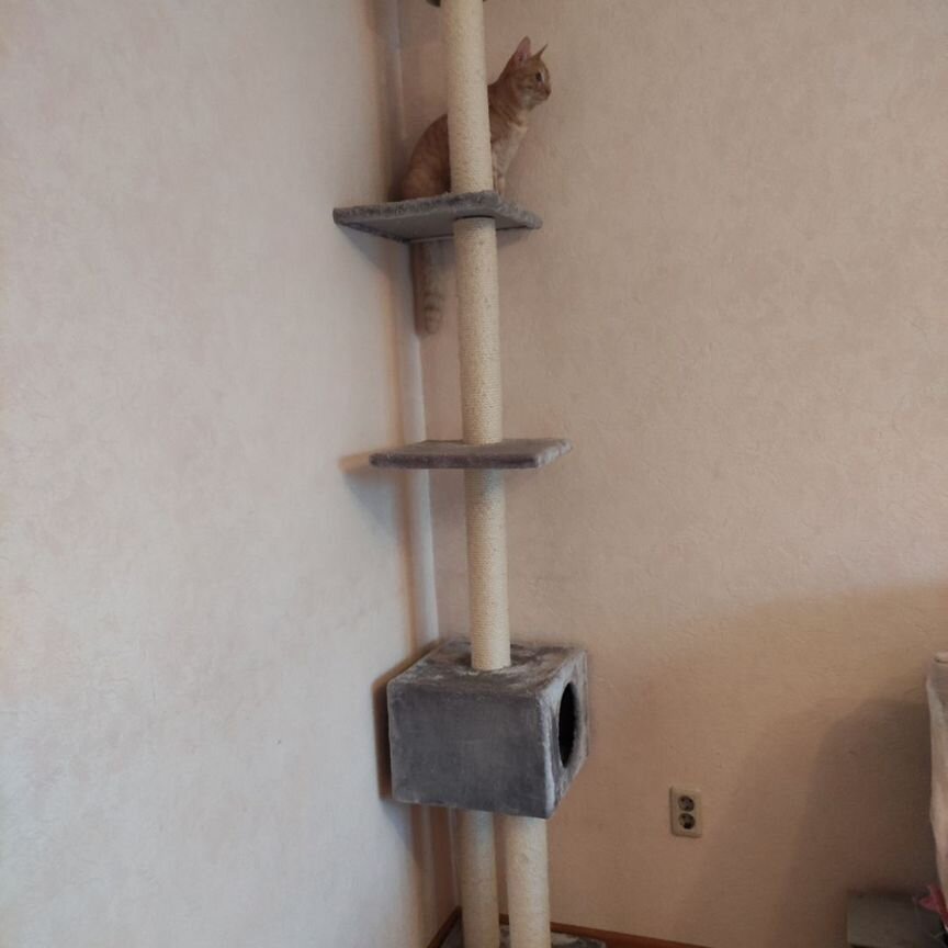 Когтеточка до потолка бу
