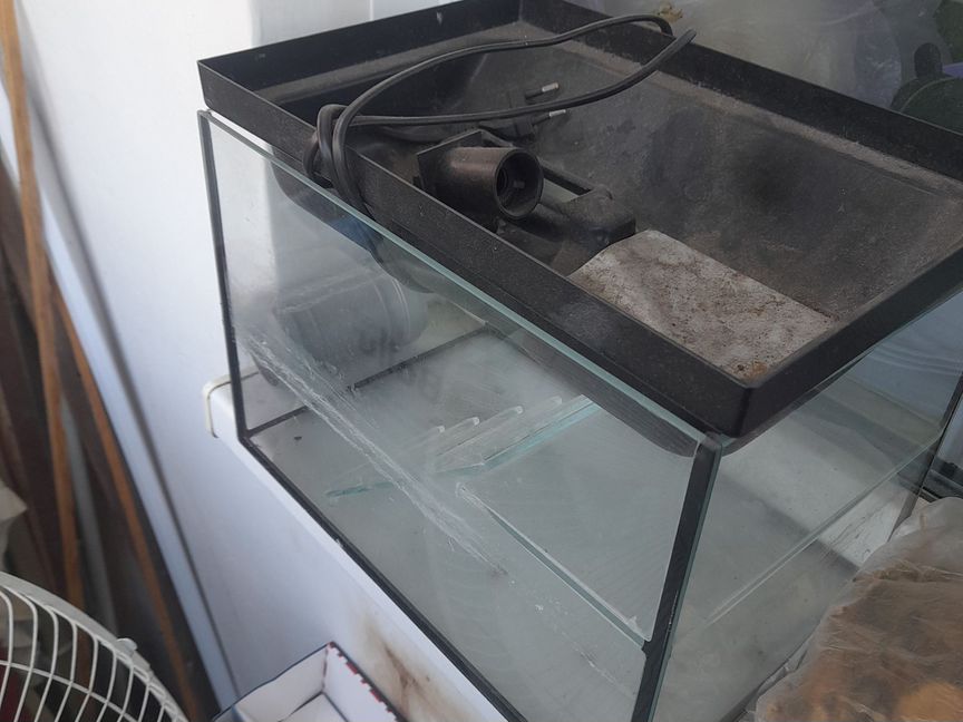 Аквариум для маленьких черепашек