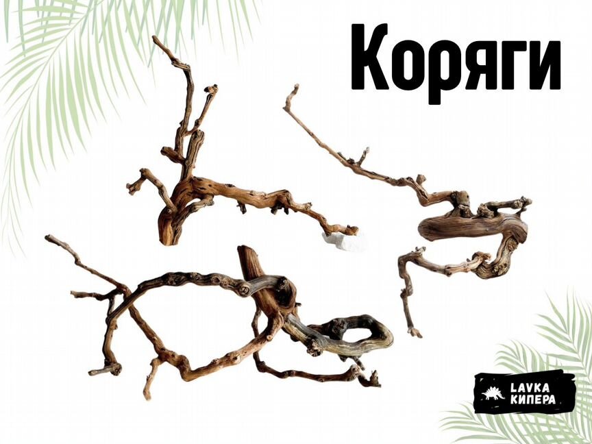 Коряги для террариума