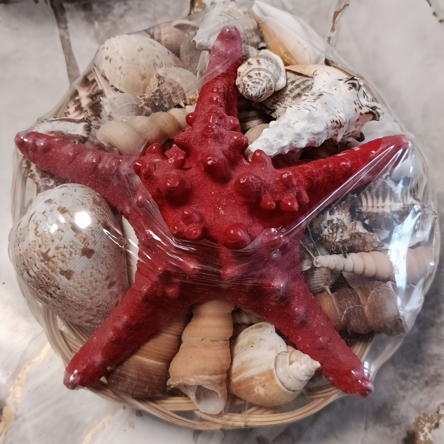Продам ракушки морские
