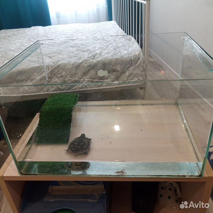 Террариум 30 литров с черепахой и лягушкой