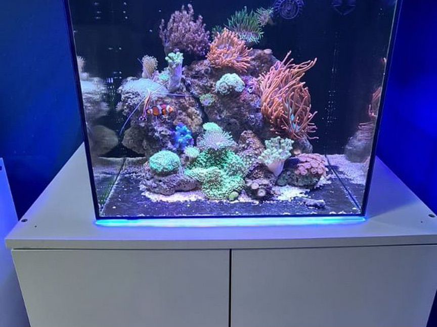 Аквариум с тумбой