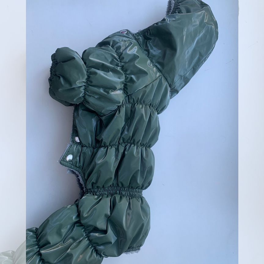 Одежда для собак