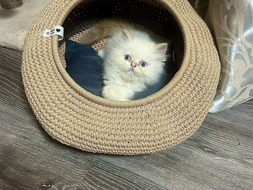 Лежанка гнездо для кошки