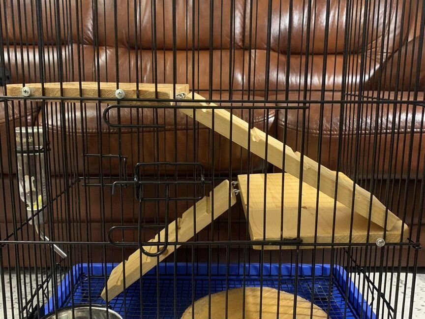 Клетка для грызунов большая