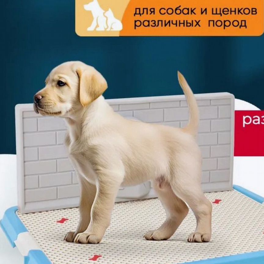 Туалет лоток для собак со стенкой 67х52