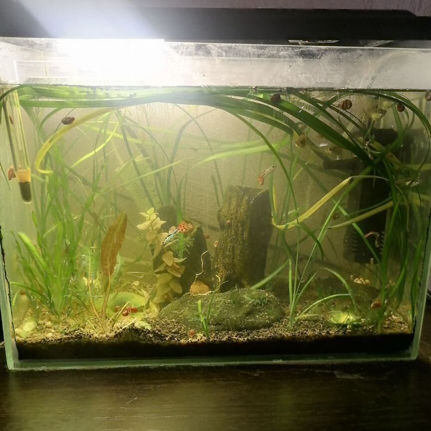 Аквариум 9л