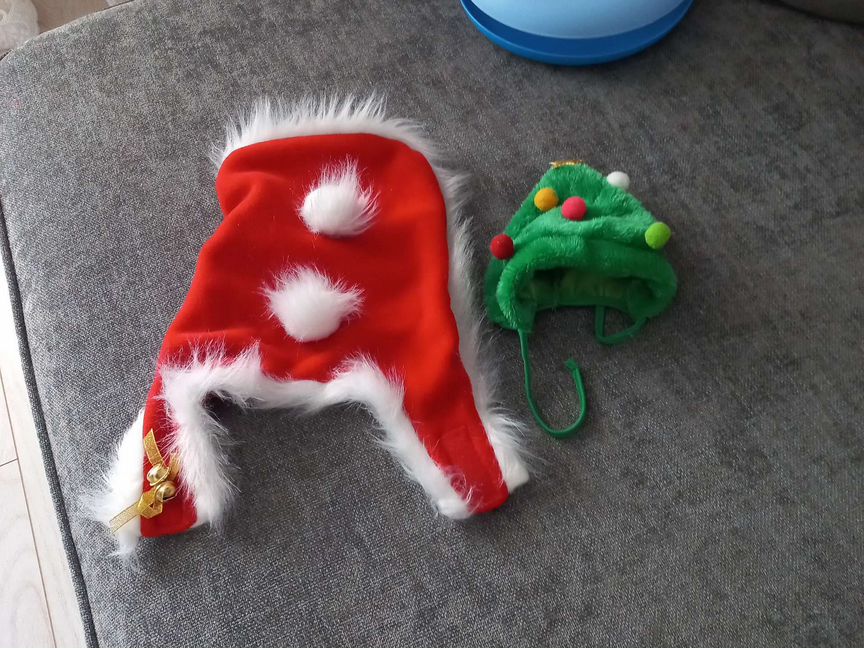 Одежда для кошек