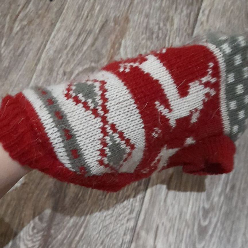 Вещи на собаку