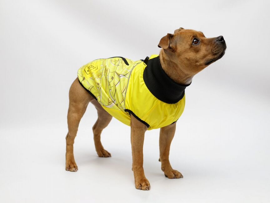 Жилетка для собак