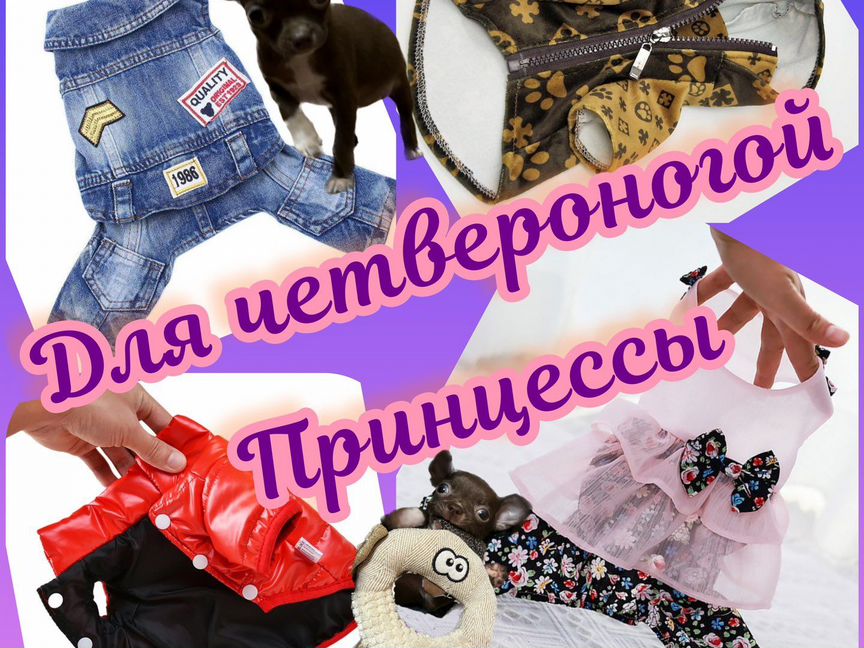 Шикарные шмоточки для любимки. Ветровка-дождевик