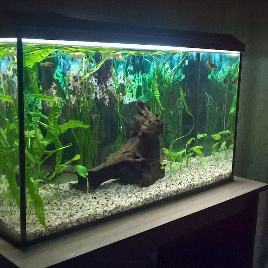 Аквариум 220 литров