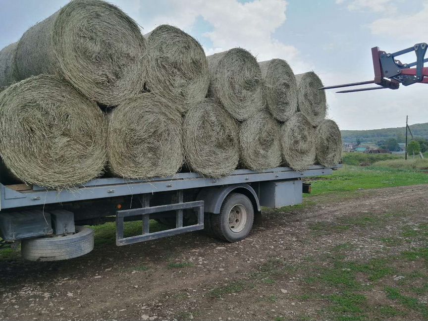 Сено, солома