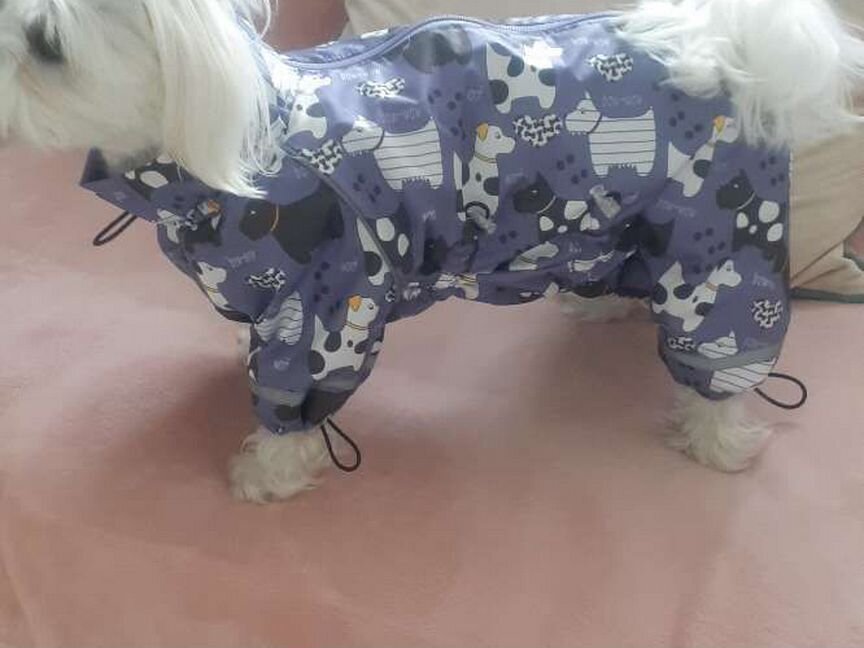 Дождевик на собаку