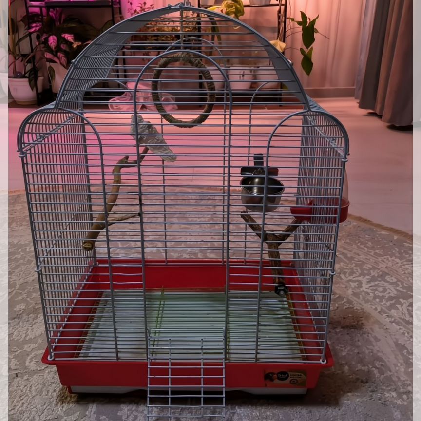 Клетка для попугая