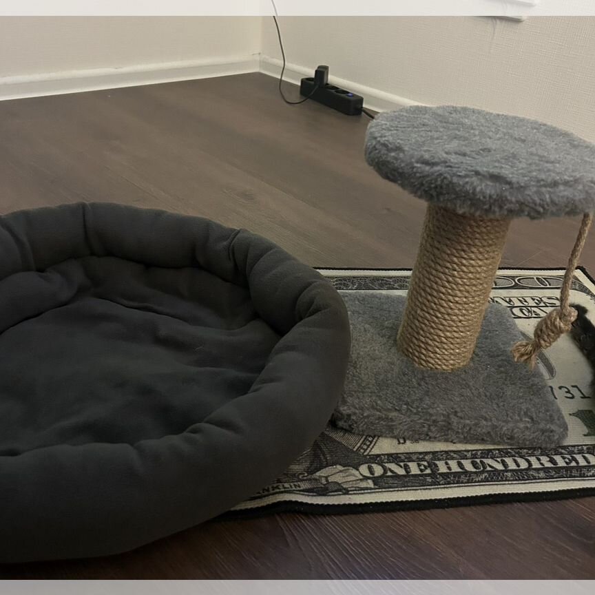 Когтеточка и лежанка