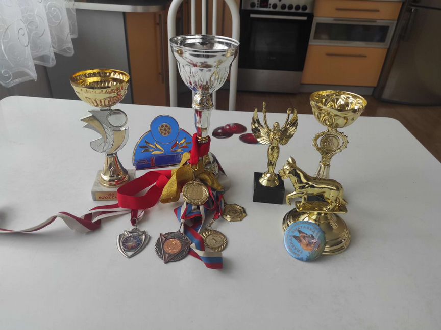 Кубки и медали
