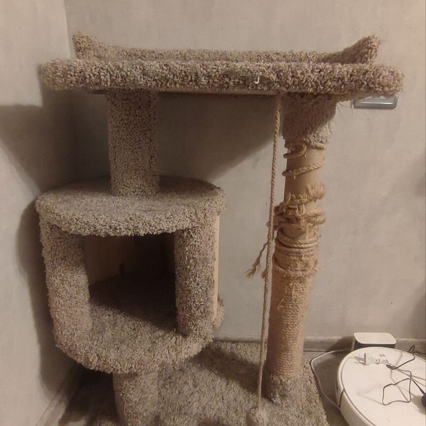 Когтеточка домик для кошки бу