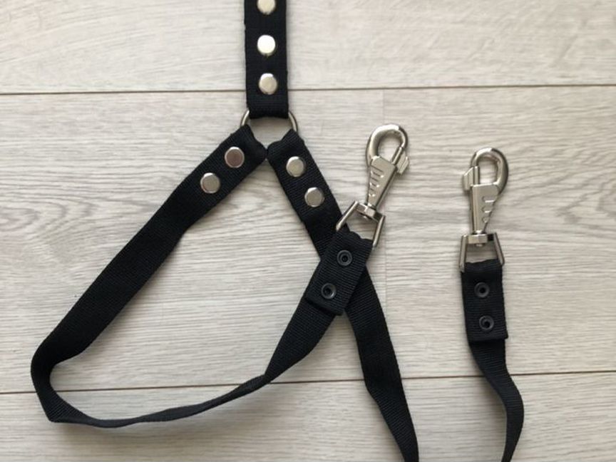 Сворка для двух собак