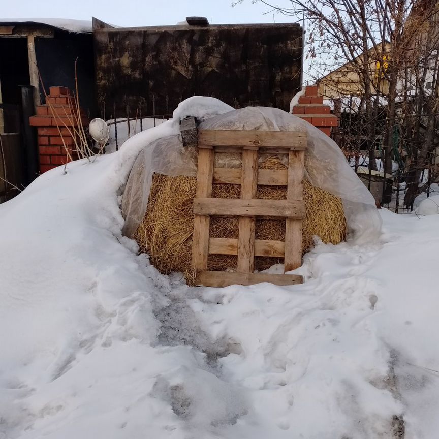 Сено