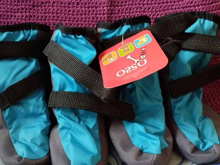 Ботинки для собак