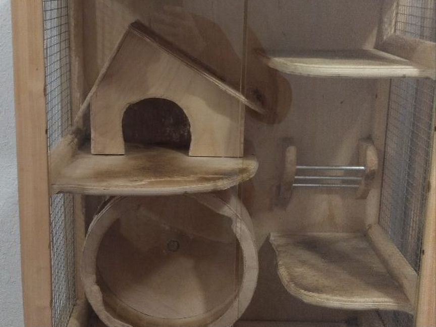 Витрина для шиншилл бу