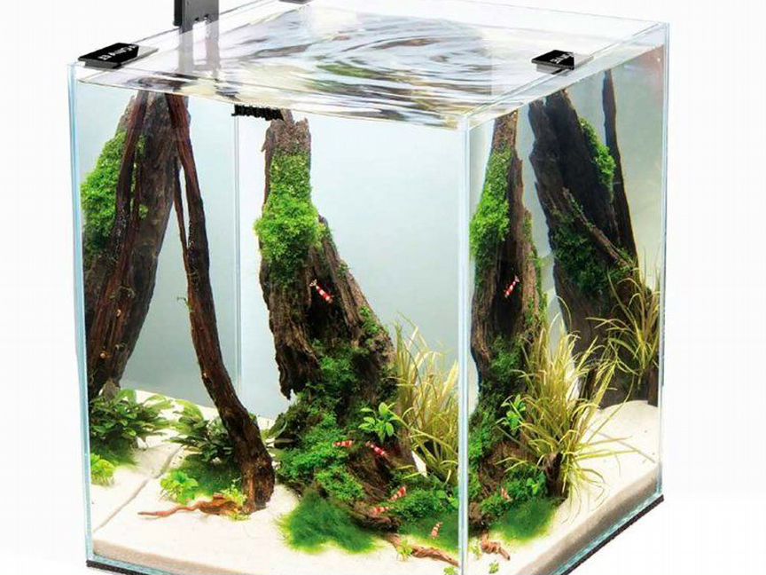 Aquael Aквариум shrimp SET DAY&night черный, 30 ли