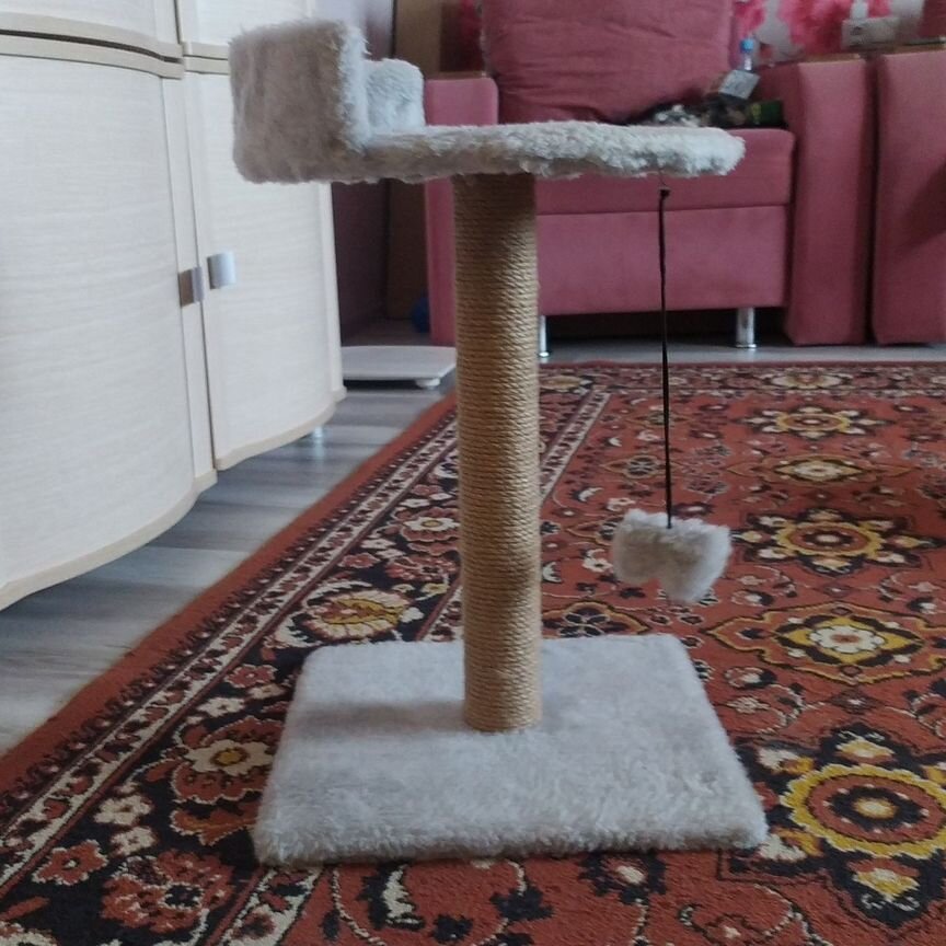 Когтеточка для котят