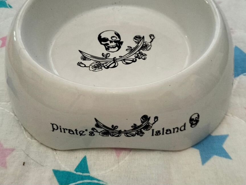 Миска,бантик-бабочка,очки