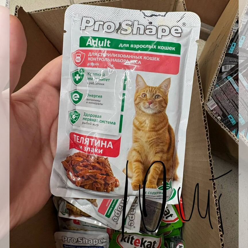 Влажный корм для кошек