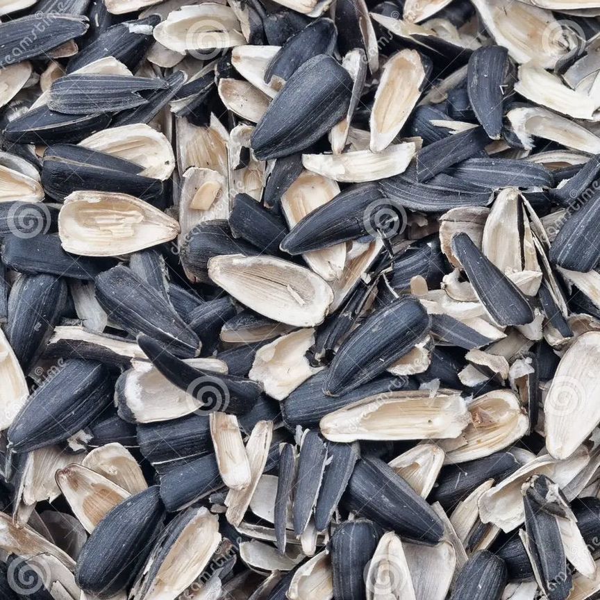 Шелуха подсолнечника