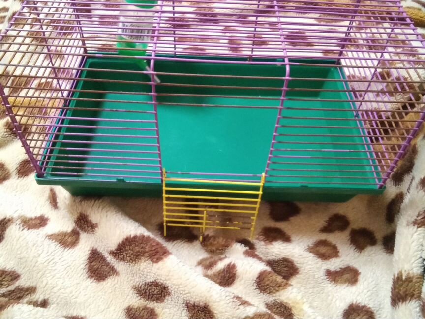 Клетка для хомяка / мыши / птички 35см