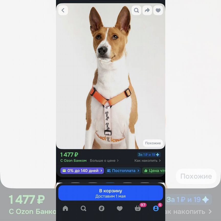 Шлейка для маленькой собаки
