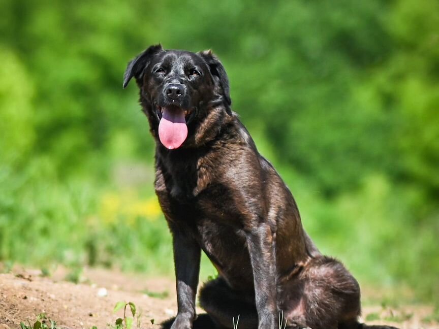 Приютский мальчик Том