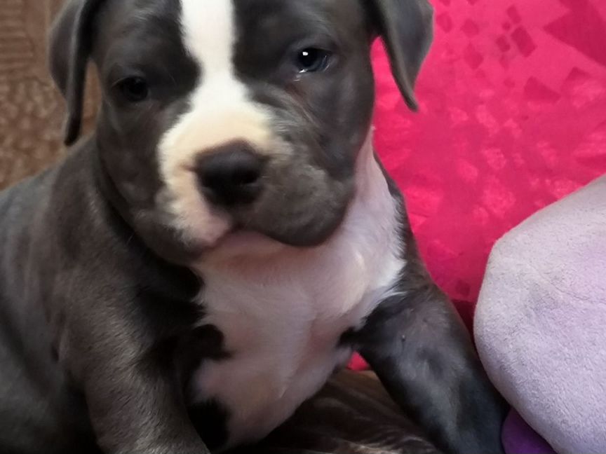 Малыш тяжик