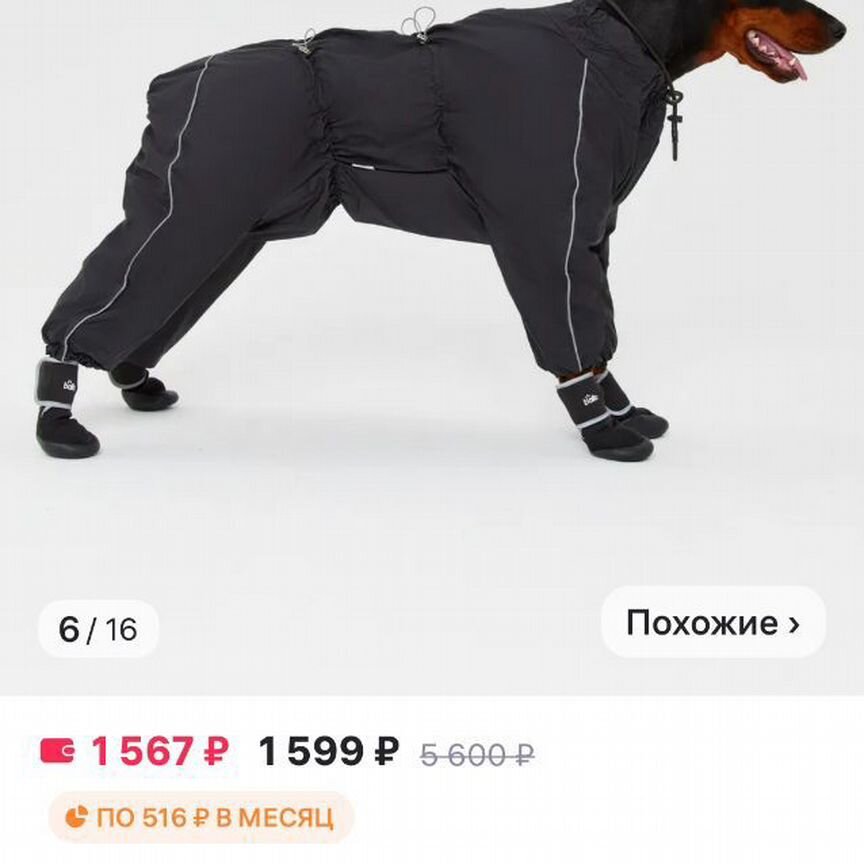 Зимний комбинезон для крупной собаки