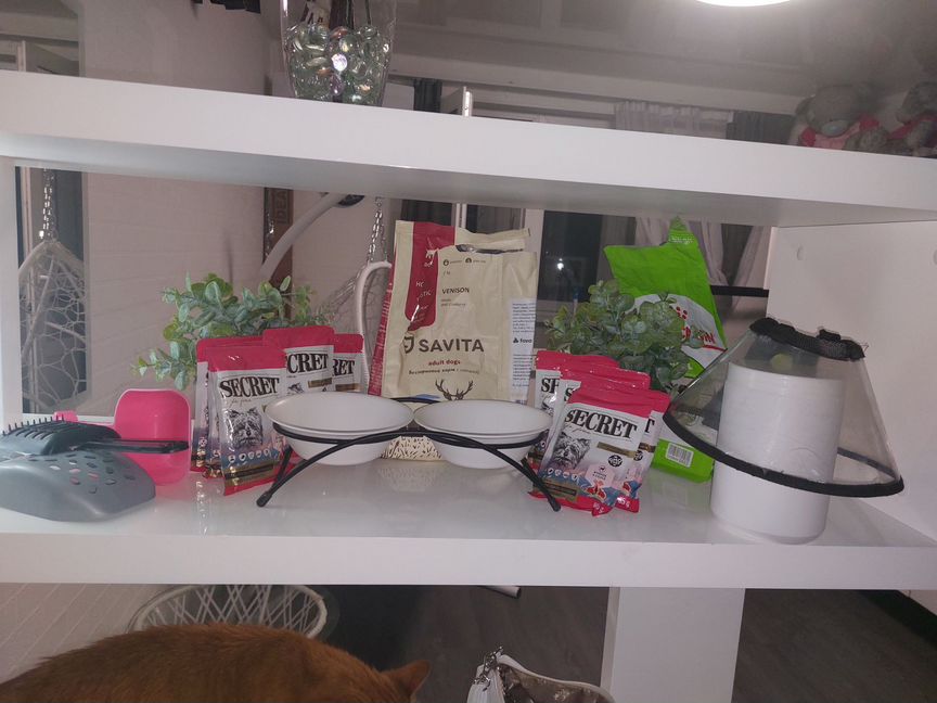 Набор для животных