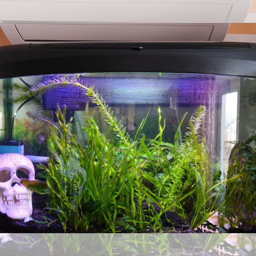 Аквариум с рыбками 40 литров