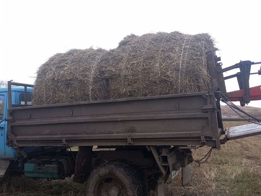 Сено в тюках так же есть солома