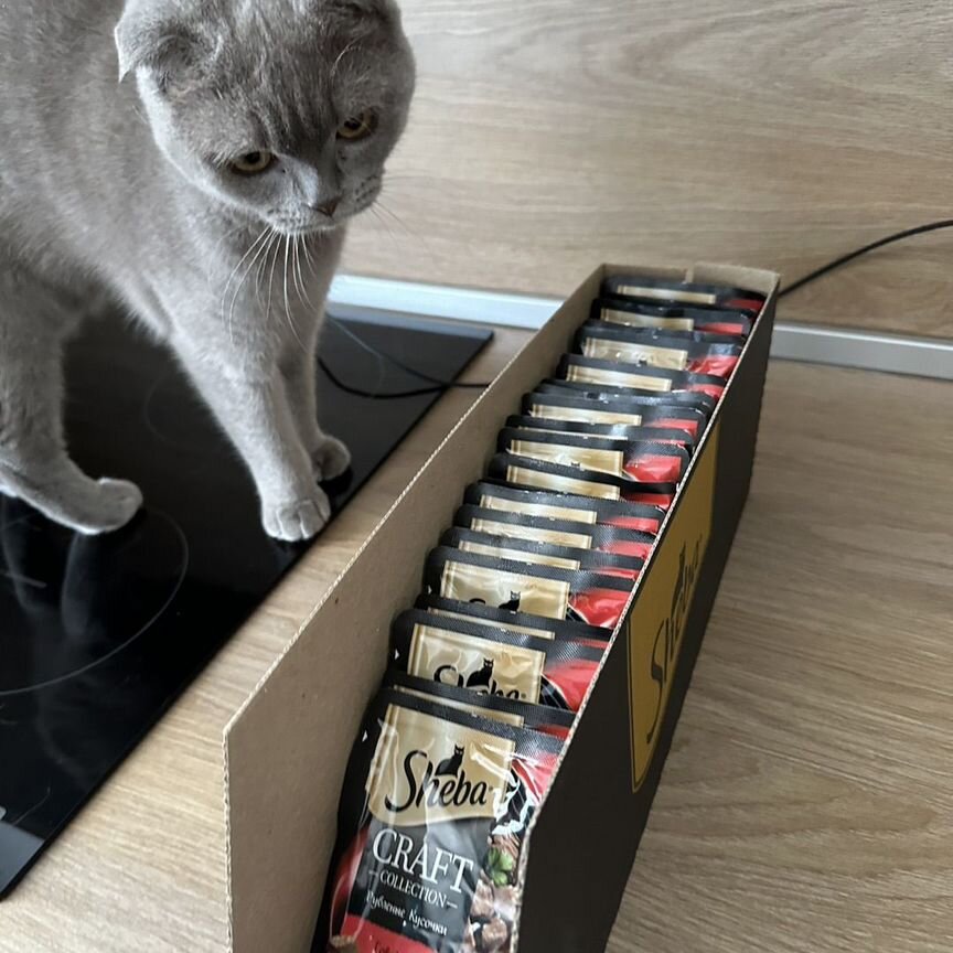 Влажный корм Шеба Sheba с говядиной 24 пакета