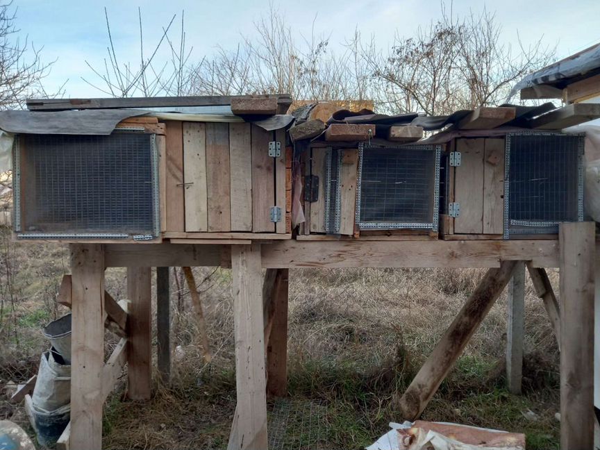 Домик для кролика