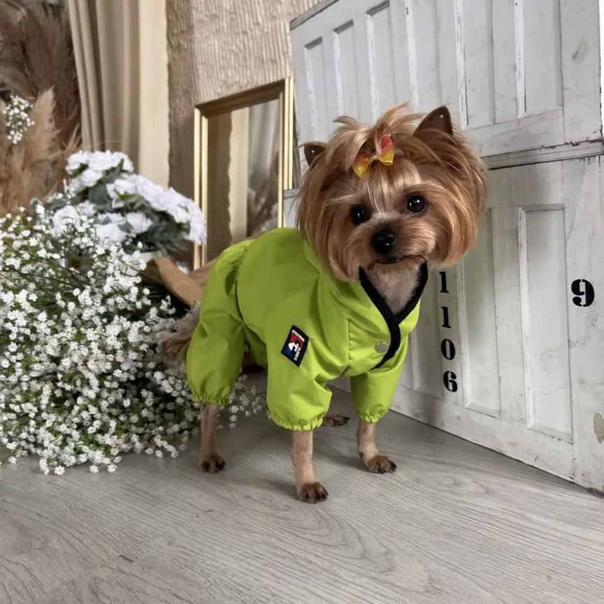 Комбинезон для собаки