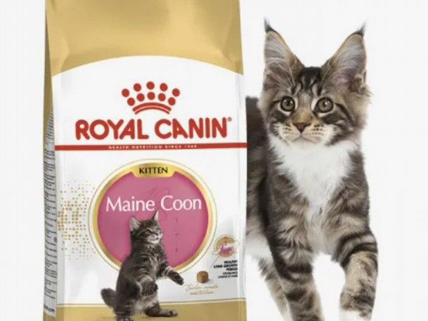 Роял канин kitten maine coon (киттен мейн-кун) 4кг
