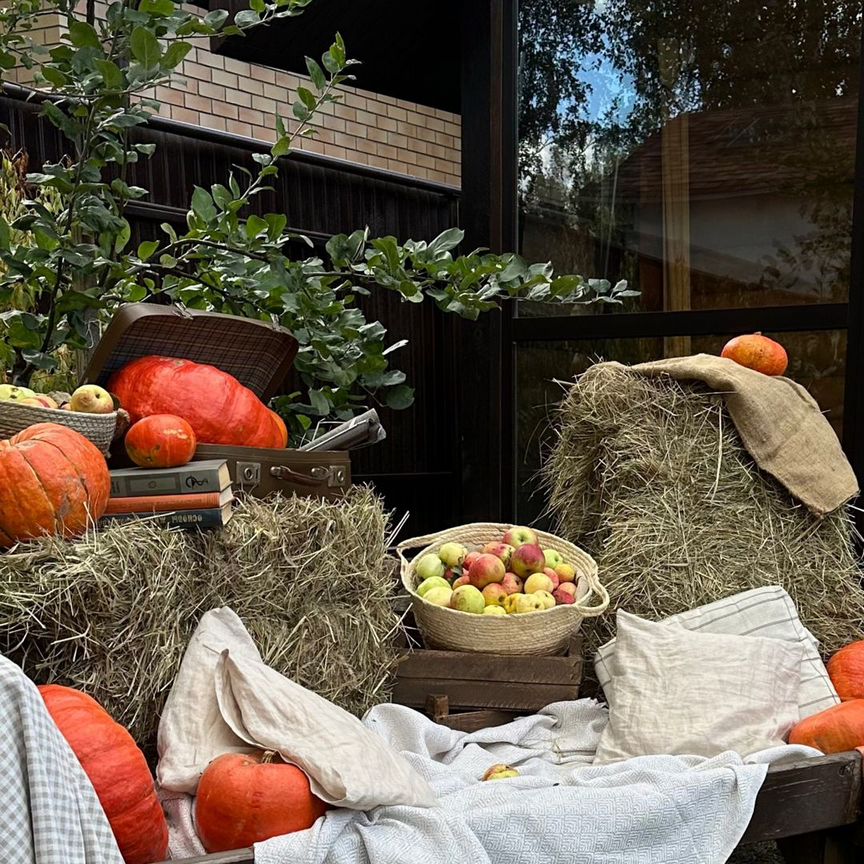 Сено в тюках