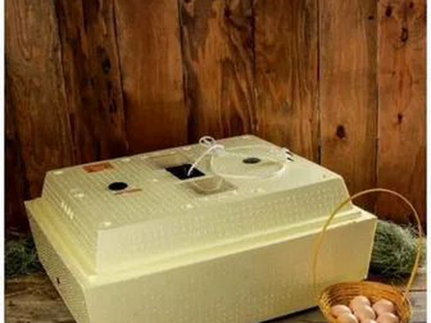 Инкубатор Золушка