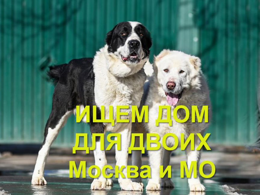 По жизни только вместе