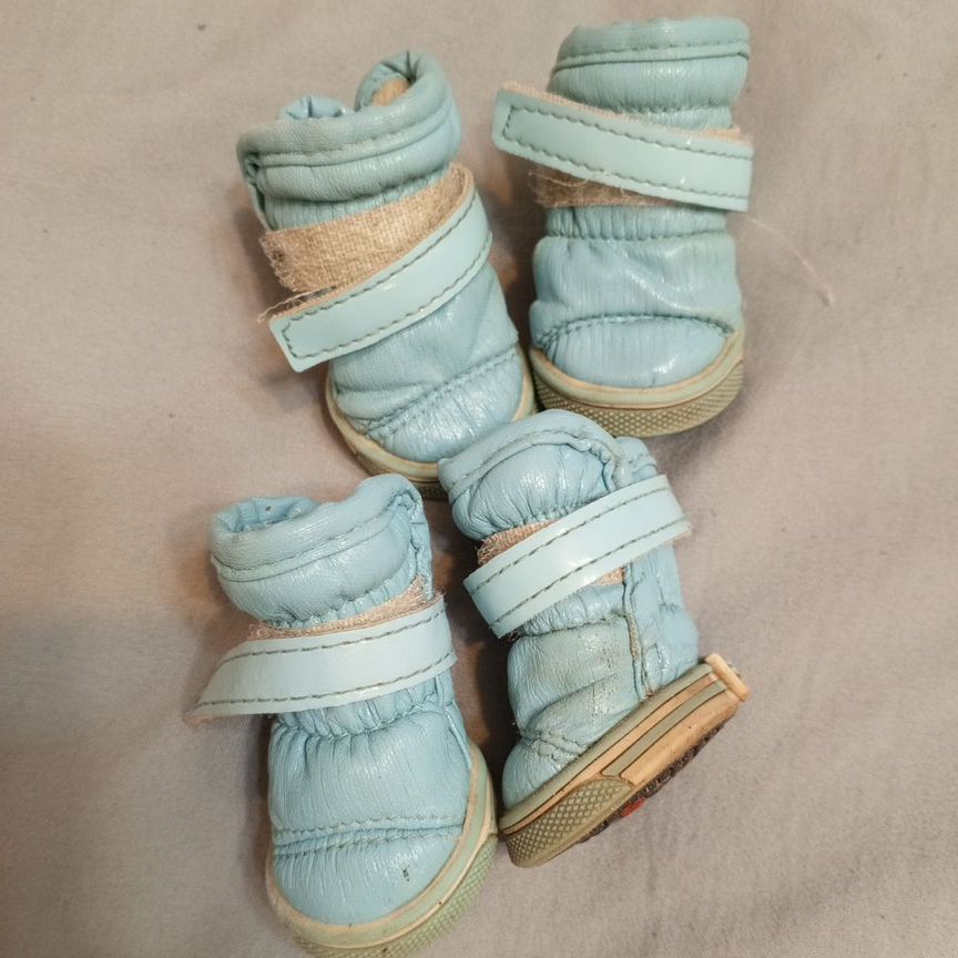 Ботинки для маленькой собачки